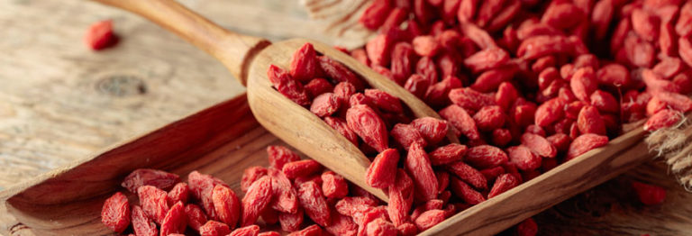 Quels sont les bienfaits des graines de goji